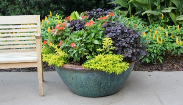25 Ways Of Landscaping With Potted Plants: Container Gardening 101 ...