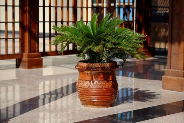 25 Ways Of Landscaping With Potted Plants: Container Gardening 101 ...