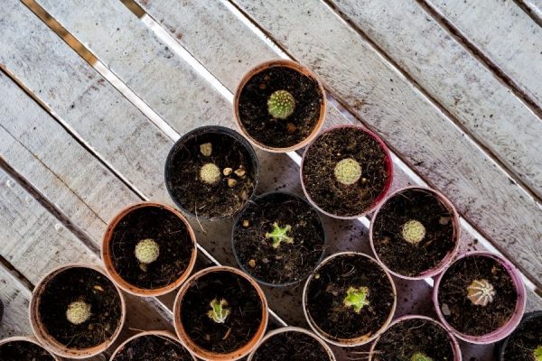 25 Ways Of Landscaping With Potted Plants: Container Gardening 101 ...