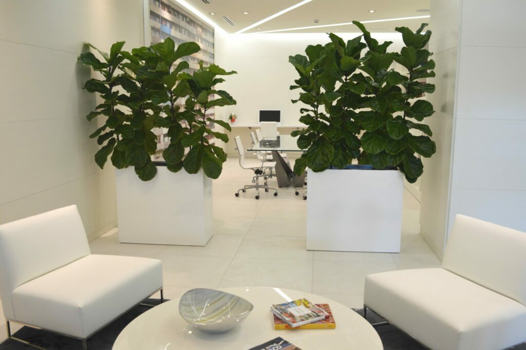 11 Brilliant Ideas For Tall Planters | Upgrade A Space Immediately ...