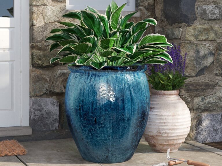 7 Most Popular Types Of Pots For Plants | Planter Materials, Sizes, And ...