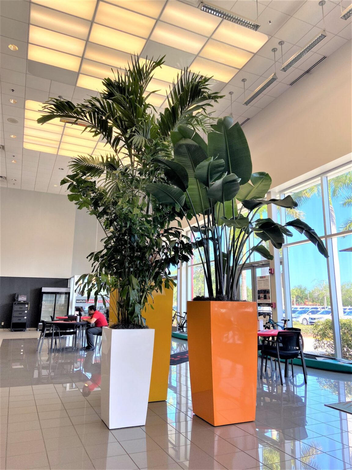 A Complete Guide To Vietnamese Large Planters In 2023 | Creative Design ...